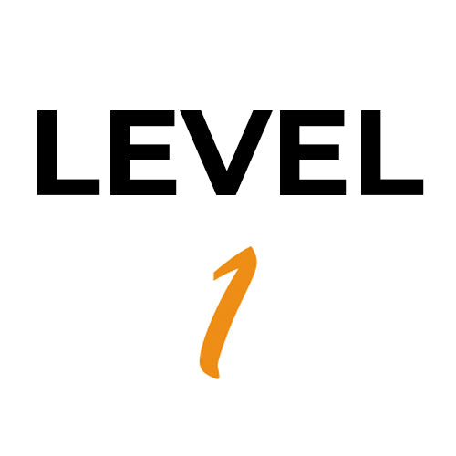 Level 1 Upgraded AEGs – BlackBlitz Airsoft